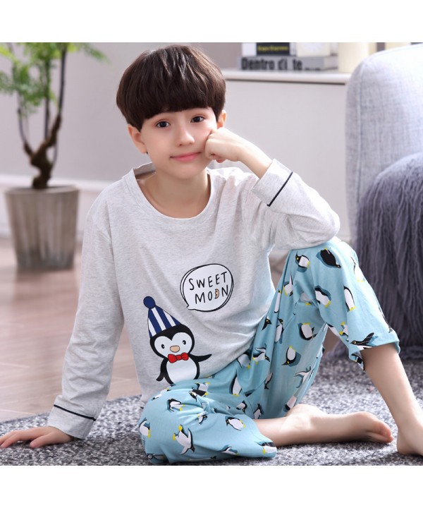 boys Cartoon long sleeve Cotton pajamas for autumn pyjamas